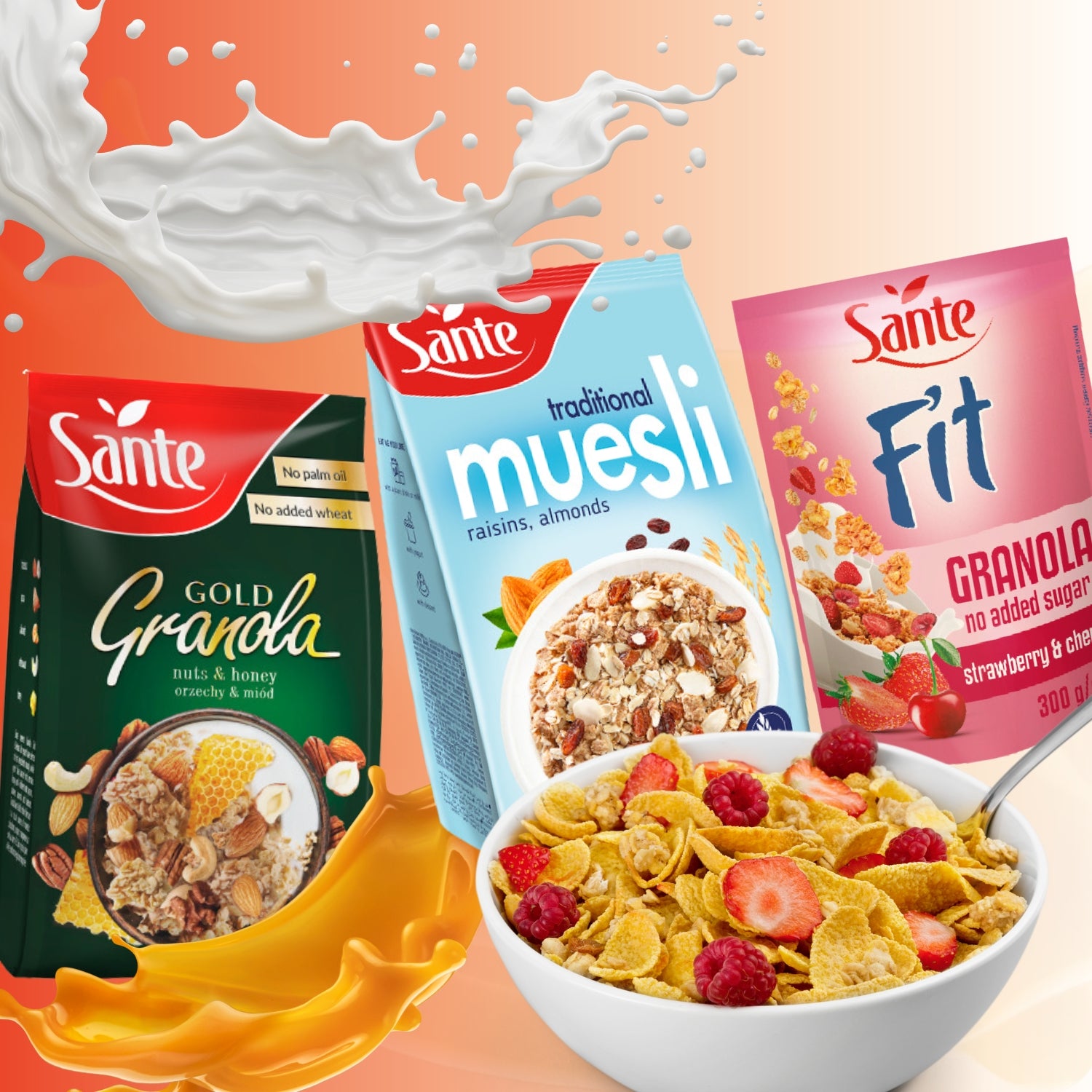 Granola – Ariam Pvt Ltd